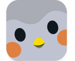 NOCD - Expert Review